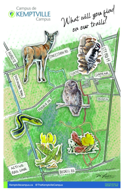 Kemptville Campus - Connecting people and nature through art on the ...